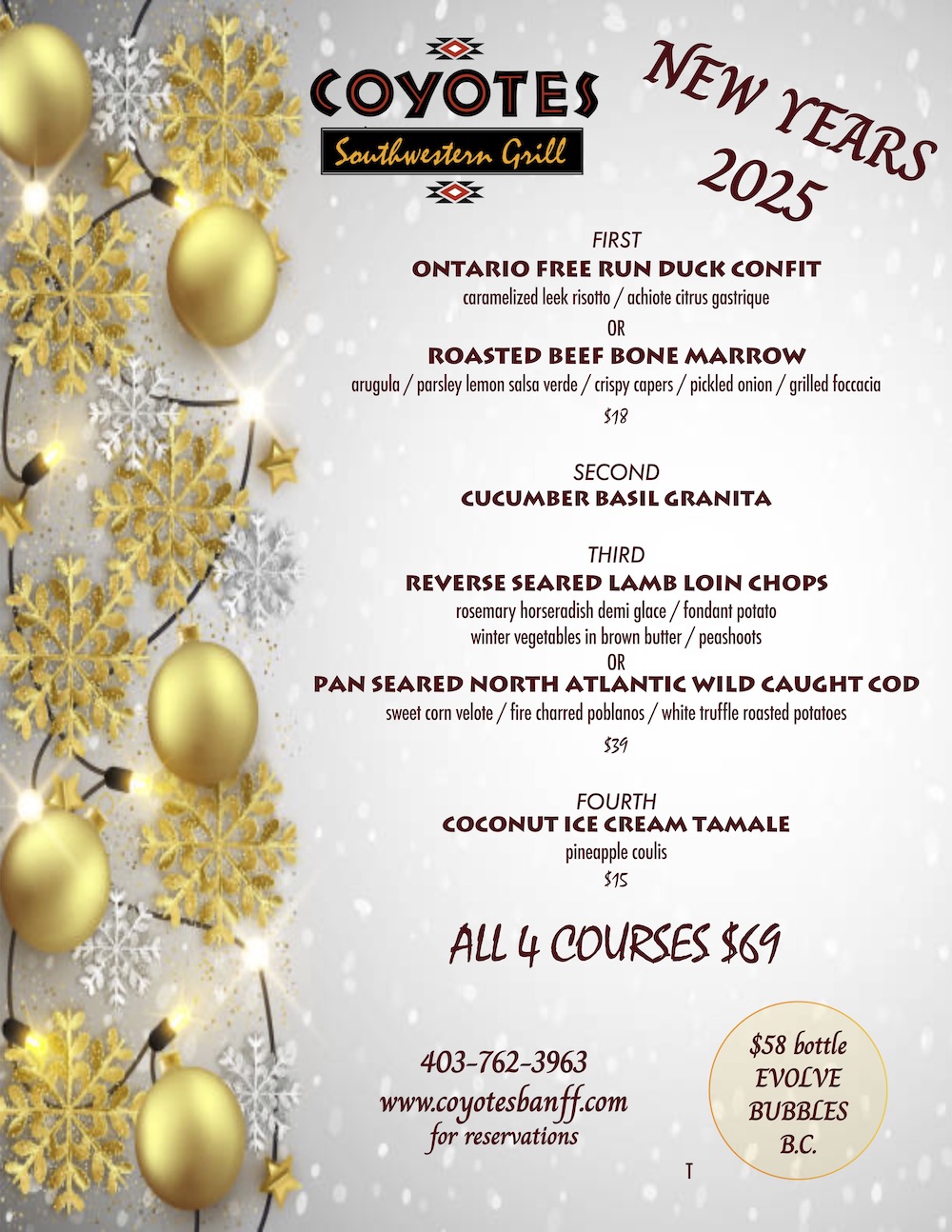 New Year's Eve in Banff by Taxi Mike!